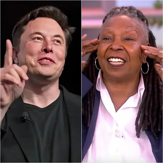 JUST IN: Elon Musk Acquires ‘The View’ For $900 Million To End The ...