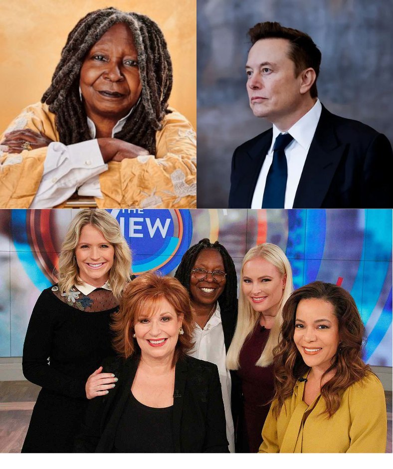 Elon Musk called for a boycott of The View, calling it “a meeting place ...