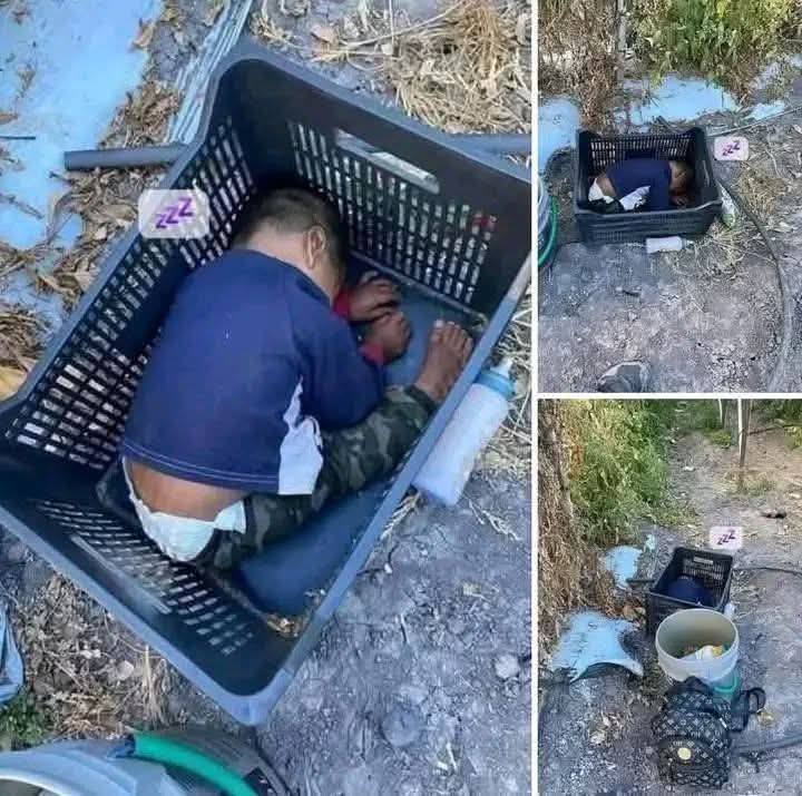 This approximately 2-year-old boy was found… See more - Amazing